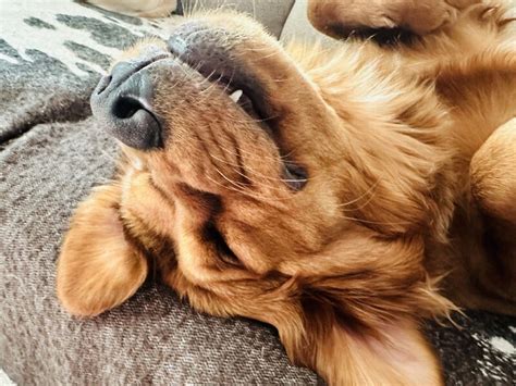 Colette Edwards Bodenstaff On Linkedin Well Said In A Nutshell Sean