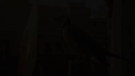 muhammad ehsan on linkedin technology automotive innovation tech ai digital future trends…