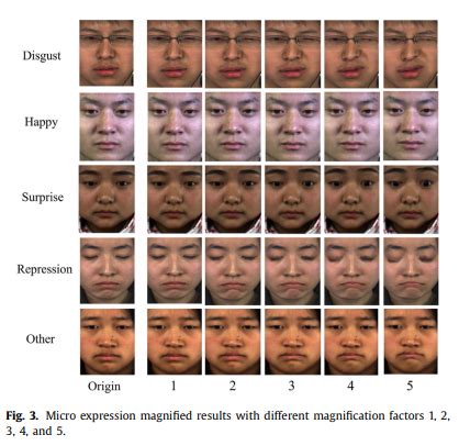 Github Hahaluluyo Micro Expression Recognition With Supervised Contrastive Learning Micro