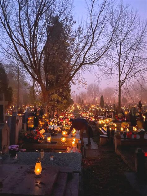 All Saints Day Traditions History And Memorial Flowers