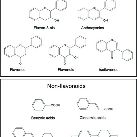 Core Structures Of The Main Classes Of Plant Phenolic Compounds