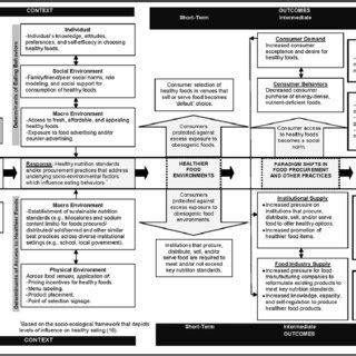 Logic Framework For The Adoption And Implementation Of Healthy Download Scientific Diagram