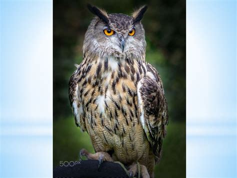 Имя прилагательное Значение прилагательных в речи презентация онлайн