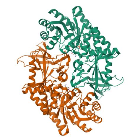1 Aminopropane Structure