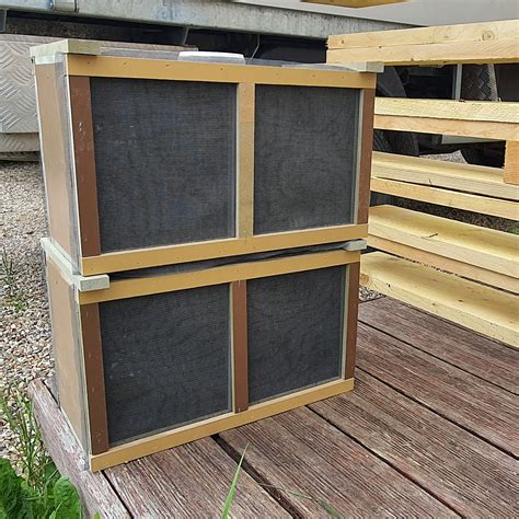 Paquet D Abeilles Reine F Cond E Buckfast Mes Abeilles