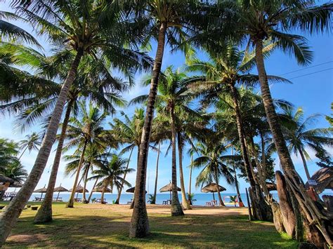 Beaches In Quezon Province Beach Lot In Infanta Quezon Province Beach
