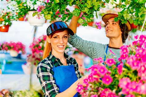 식물 보육원의 플로리스트가 화분에 심은 꽃을 검사합니다 2명에 대한 스톡 사진 및 기타 이미지 2명 검사 보기 긍정적인 감정 표현 Istock