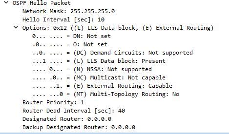 OSPF Hello Packets Deep Dive NETWORK LESSON