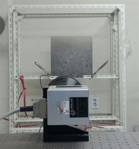 Location Of Fixed Specimen Download Scientific Diagram