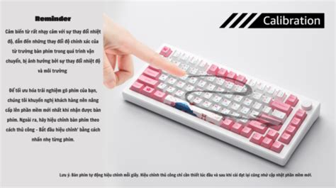 🎁🎁🎁tặng Quạt Tản Nhiệt 529k Bàn Phím Akko Mod007b He Pc Tokyo Sakura Pink Magnetic Switch