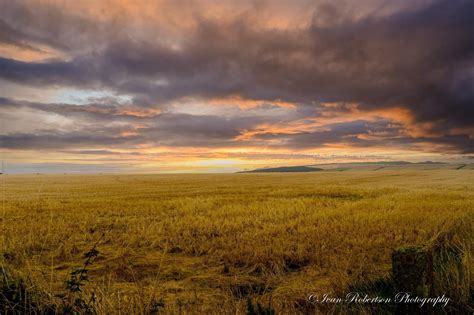 Field Album On Imgur