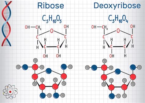 Molecular Structure Of Ribose
