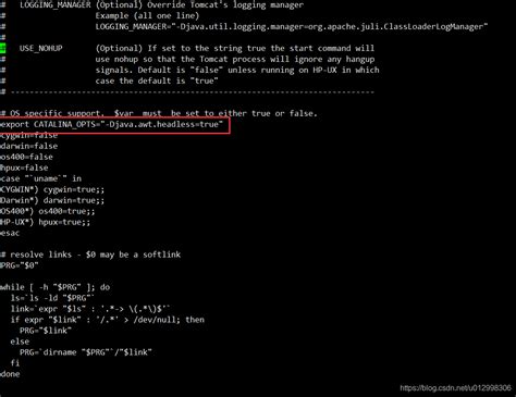 Javalangnoclassdeffounderror Could Not Initialize Class Orgapache