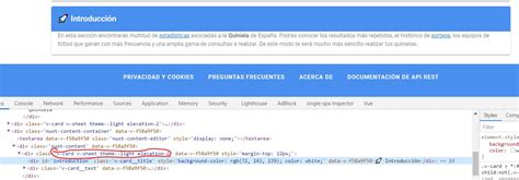 Vuetify Components Are Not Fully Rendered In Markdown Files Md
