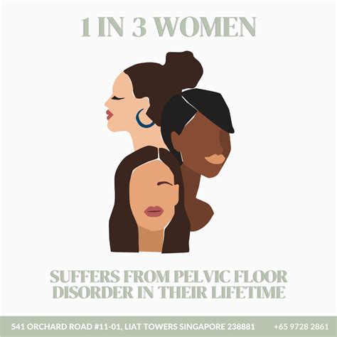 What Is Pelvic Floor Disorder How Can I Treat It Healthsprings