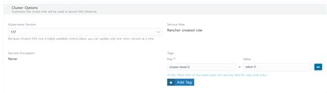 ui issue while adding a cluster level tag in the eks cluster · issue