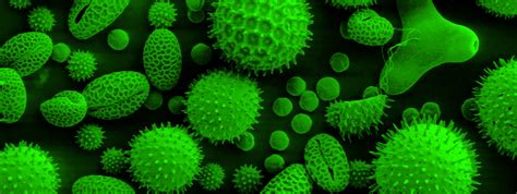 Bios Biosurveillance And Biometrics Ethical And Humanistic Implications