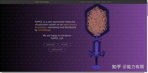 在window中安装pymol 知乎