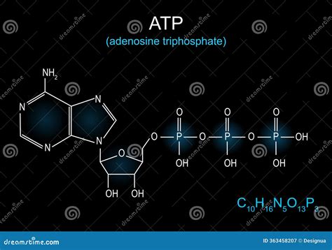Skeletal Formula Of Atp Cartoon Vector 363458207