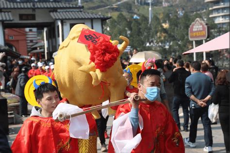 涪陵文旅牛年开门红，春节7天揽金59亿元大旅游