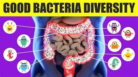 Optimize Your Microbiome Enhance Gut Microbes Diversity