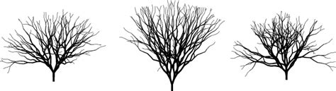 Topiary Hacktivist Semantic Scholar