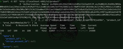 🐛 · Issue 1376 · Gofiber Fiber · Github