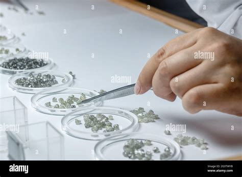 The Process Of Manual Sorting Of Diamonds Gemstones Are Graded By Quality And Weight Stock