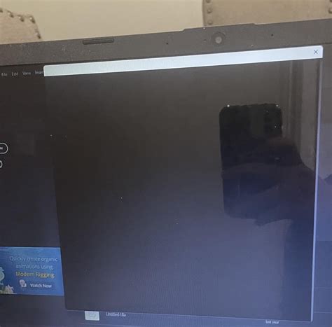 The Universe Doesnt Want Me To Animate How Do I Fix This Radobeanimate