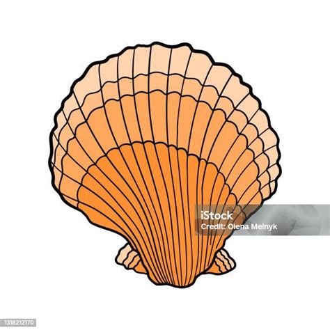 손으로 그린 가리비가 새겨져 있습니다 초대장 인사말 카드 포스터 배너 전단지 등을 위한 디자인 요소입니다 흰색 배경에 격리 된 벡터 다채로운 그림 가리비에 대한 스톡 벡터