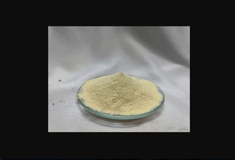 Carboxymethyl Chitosan Powder At ₹ 1500 Kg Cas No 83512 85 0 In Nellore Id 2854022403097