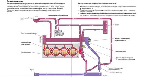 Exploring The Intricate LS Oil System