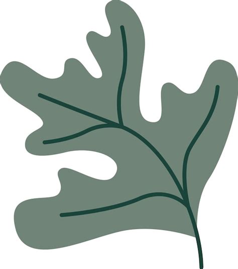 Premium Vector Oak Tree Leaf