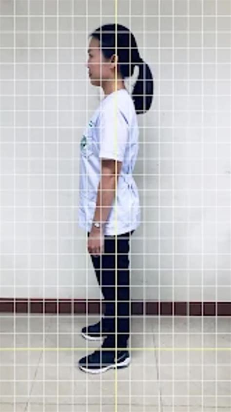 Grid Line Posture Analysis для Android — Скачать