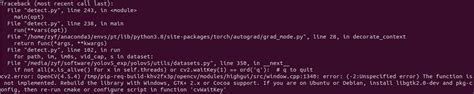 Opencv Problem Detected By Webcam Issue Ultralytics Yolov Github