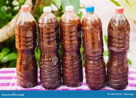 Photosynthesis Bacteria Or Psb In Plastic Bottles For Organic