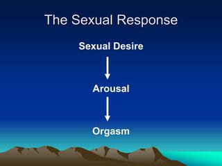 The Physiotherapist And Good Sex The Role Of The Pelvic Floor In Male Sexual Dysfunction Dr