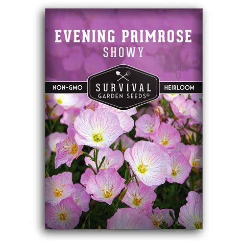 Showy Evening Primrose Native Seeds Survivalgardenseeds