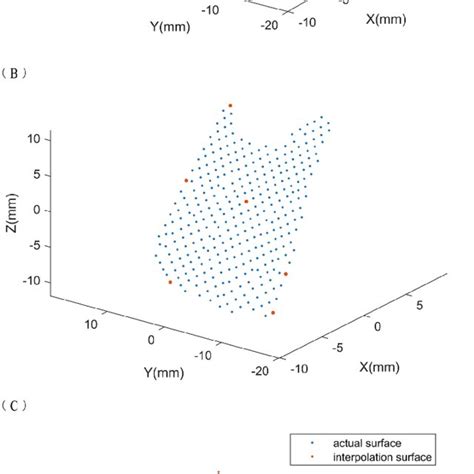 A C Temporal Regions Soft Tissue Composed Of A Three Dimensional