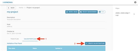 35 How To Setup A Federated Validating Plan Pi Fv 10 Manuals