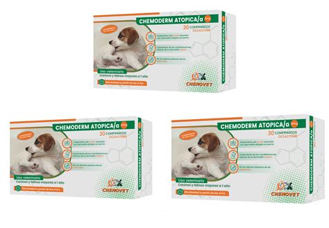 Chemovet Líderes En Oncología Veterinaria