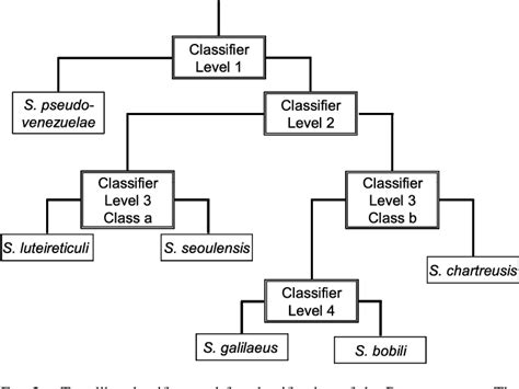 Figure 2 From From Bulk To Single Cell Classification Of The
