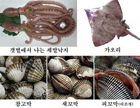 [민족ngo수필] 게미가 있네요