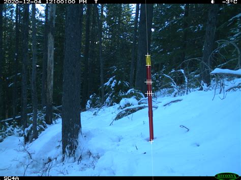 pole detection w uwimg library