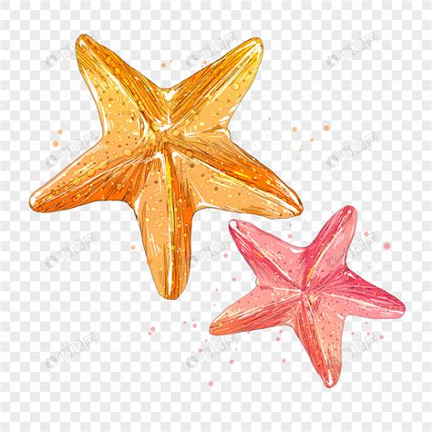 불가사리 Png 일러스트 무료 다운로드 Lovepik
