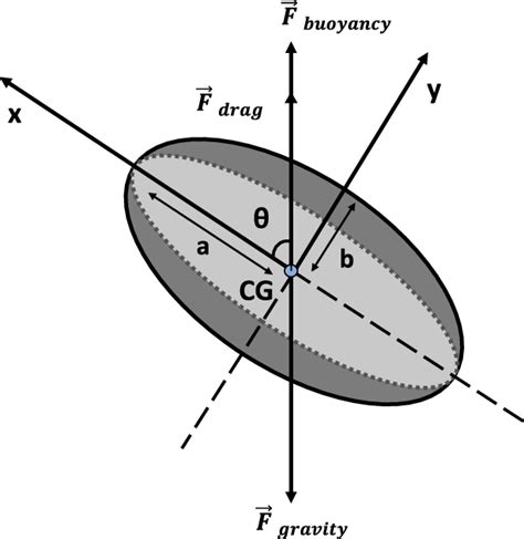 Falling Prolate Spheroid In Gravitational Field Download Scientific Diagram