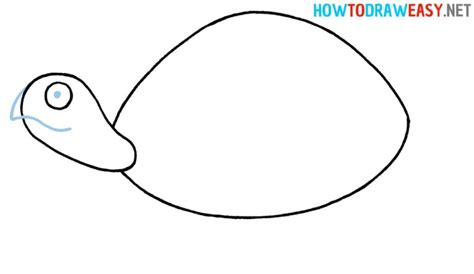 How To Draw A Turtle How To Draw Easy