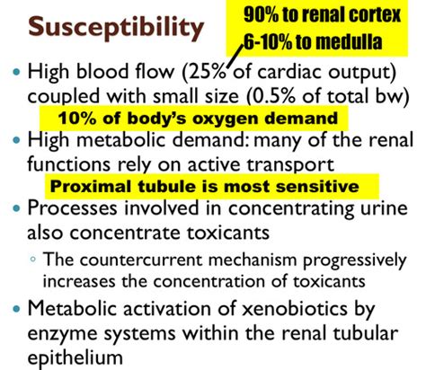 Toxicology Urinary System Tox Pt 1 Exam 3 Flashcards Quizlet
