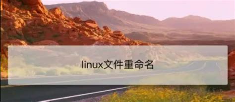 Foxmail怎么下载？（foxmail官网下载教程）
