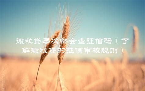 微粒贷每次都会查征信吗了解微粒贷的征信审核规则 掌上生意经